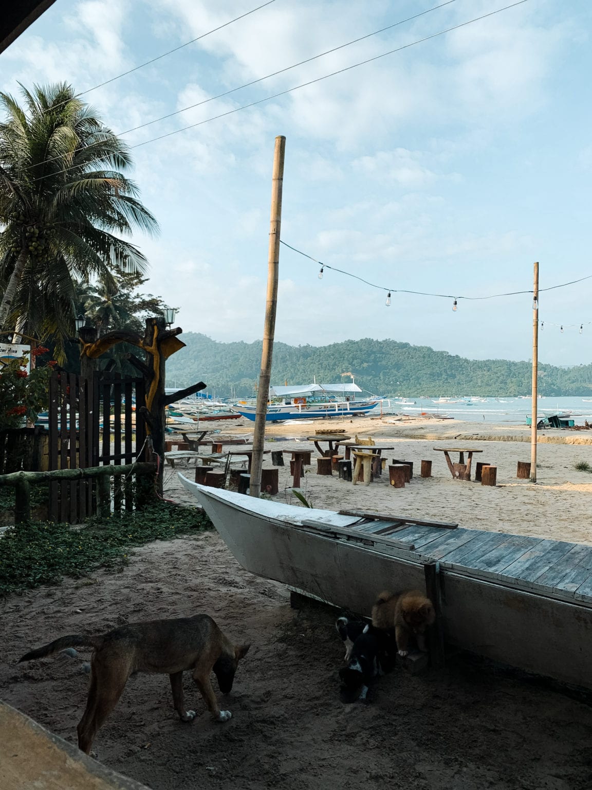 Complete Travel Guide to Port Barton Philippines - Caroline Rose Travel